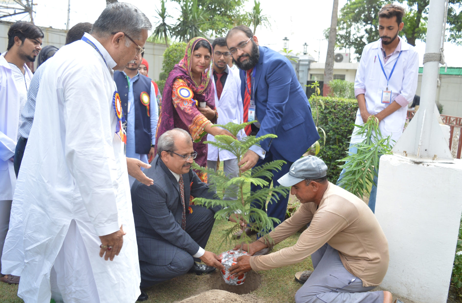 Plantation